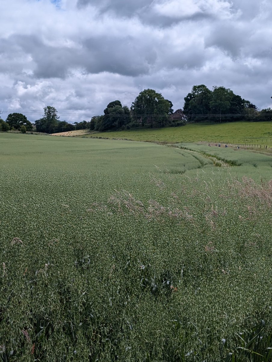 Haybridge – Part of The Four Stones