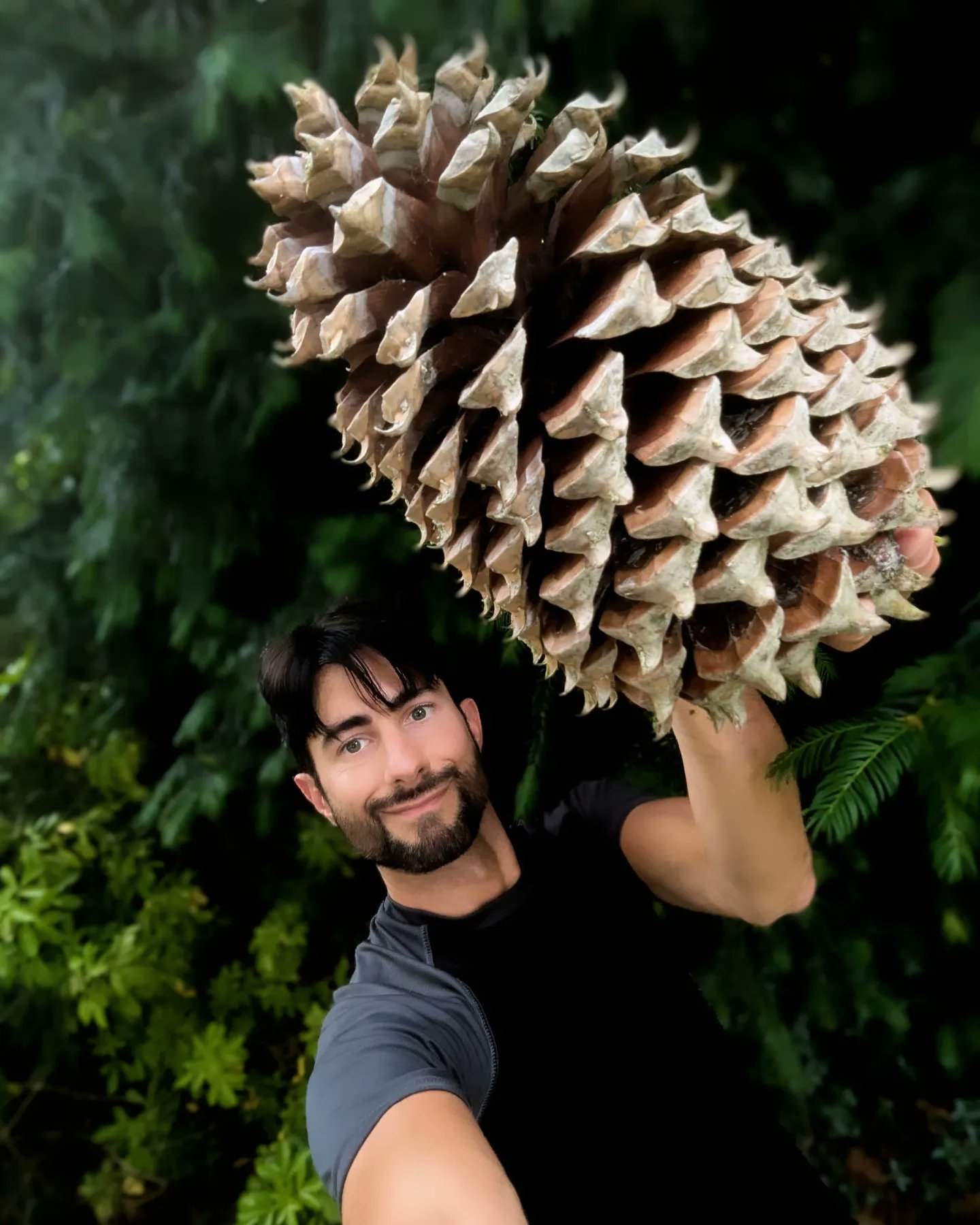 Worlds Largest Pine Cone How To Make A Pinecone Scale Pumpkin DIY