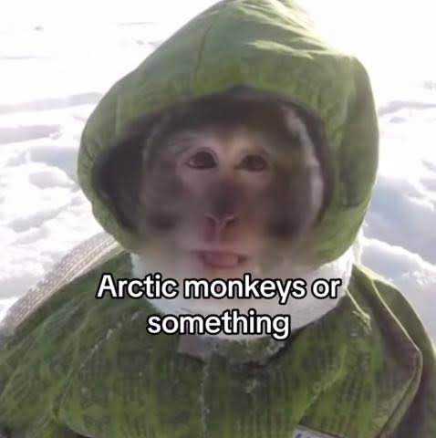 Arctic Monkey Memes