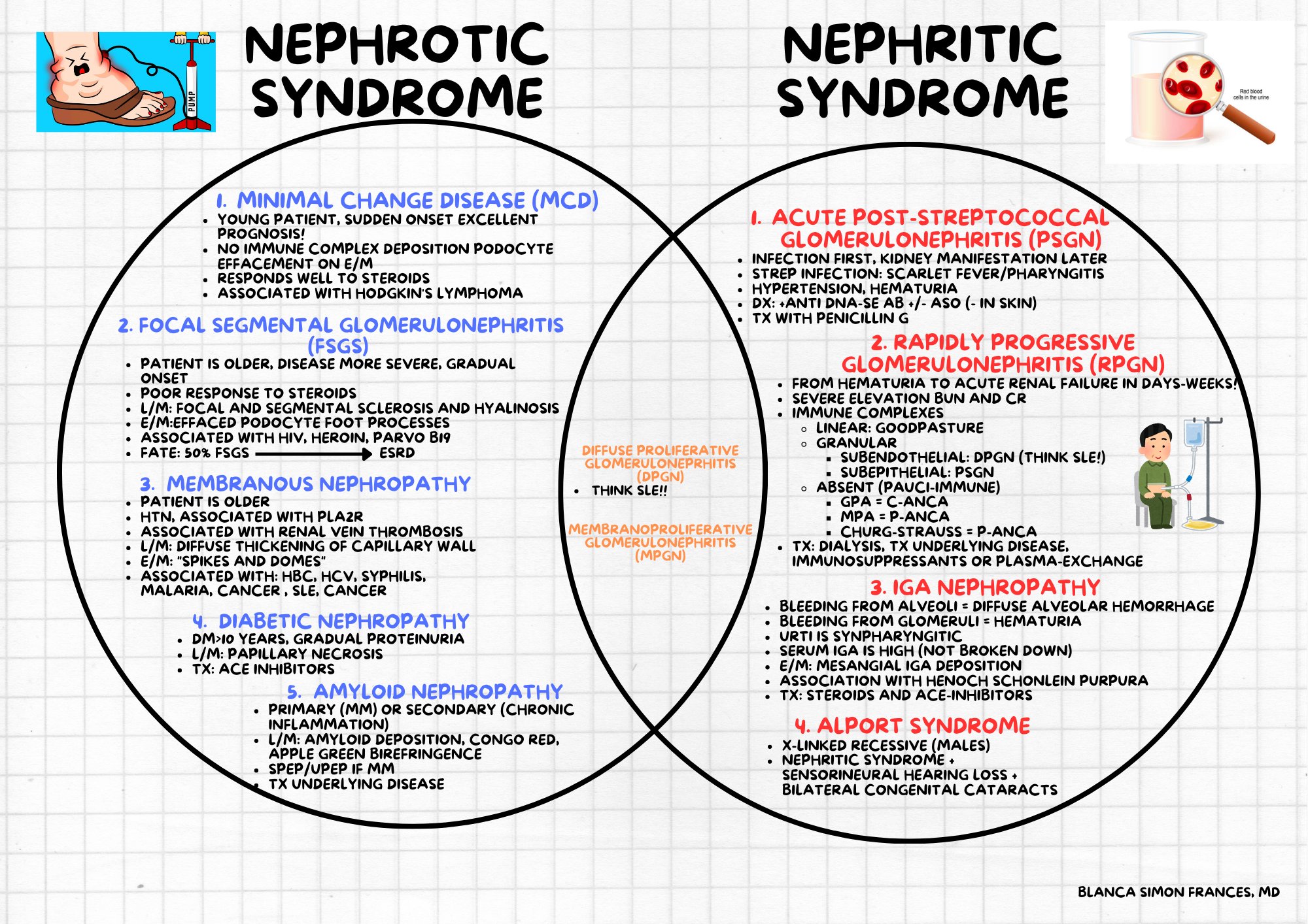 Nephritic Screen