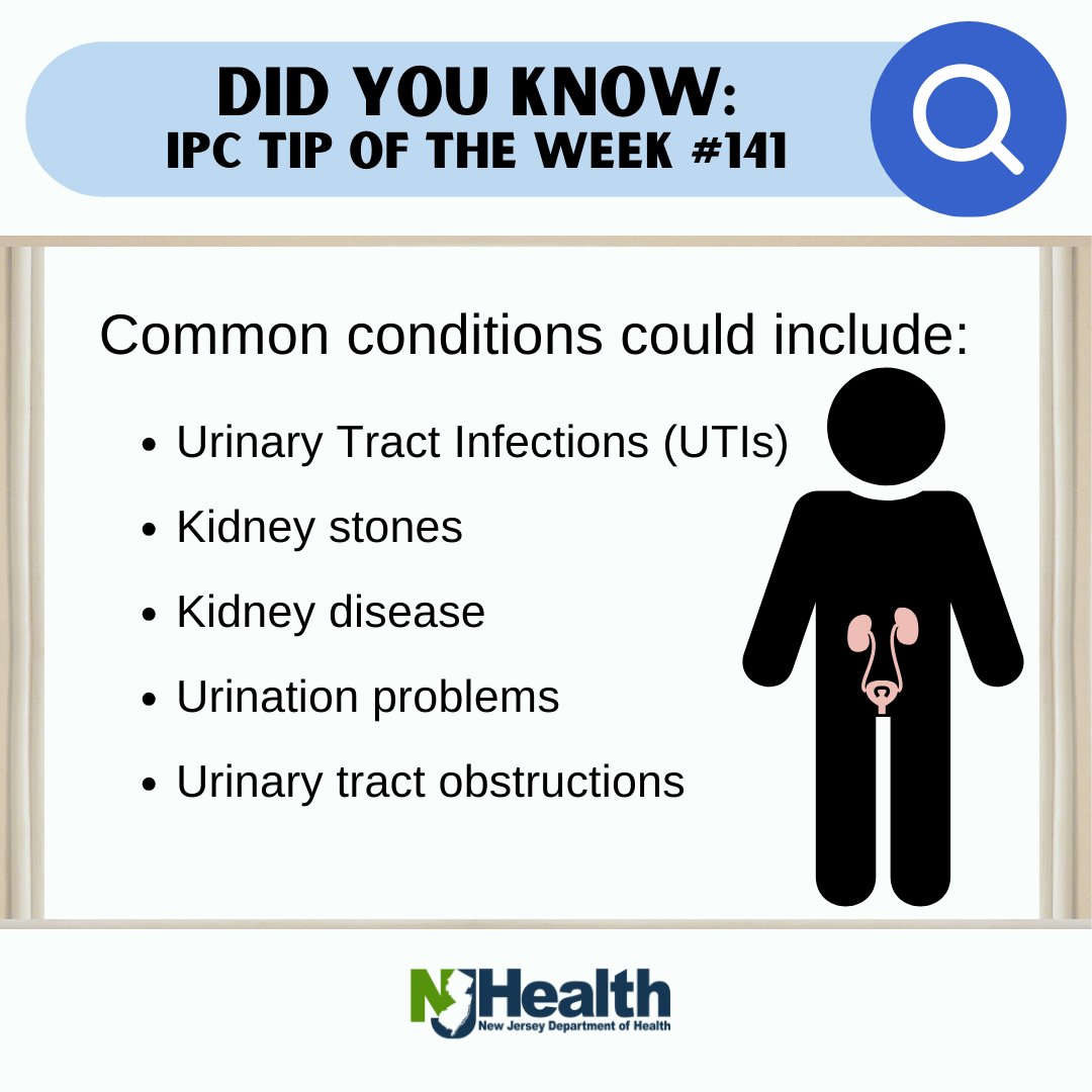 Urinary System Diseases