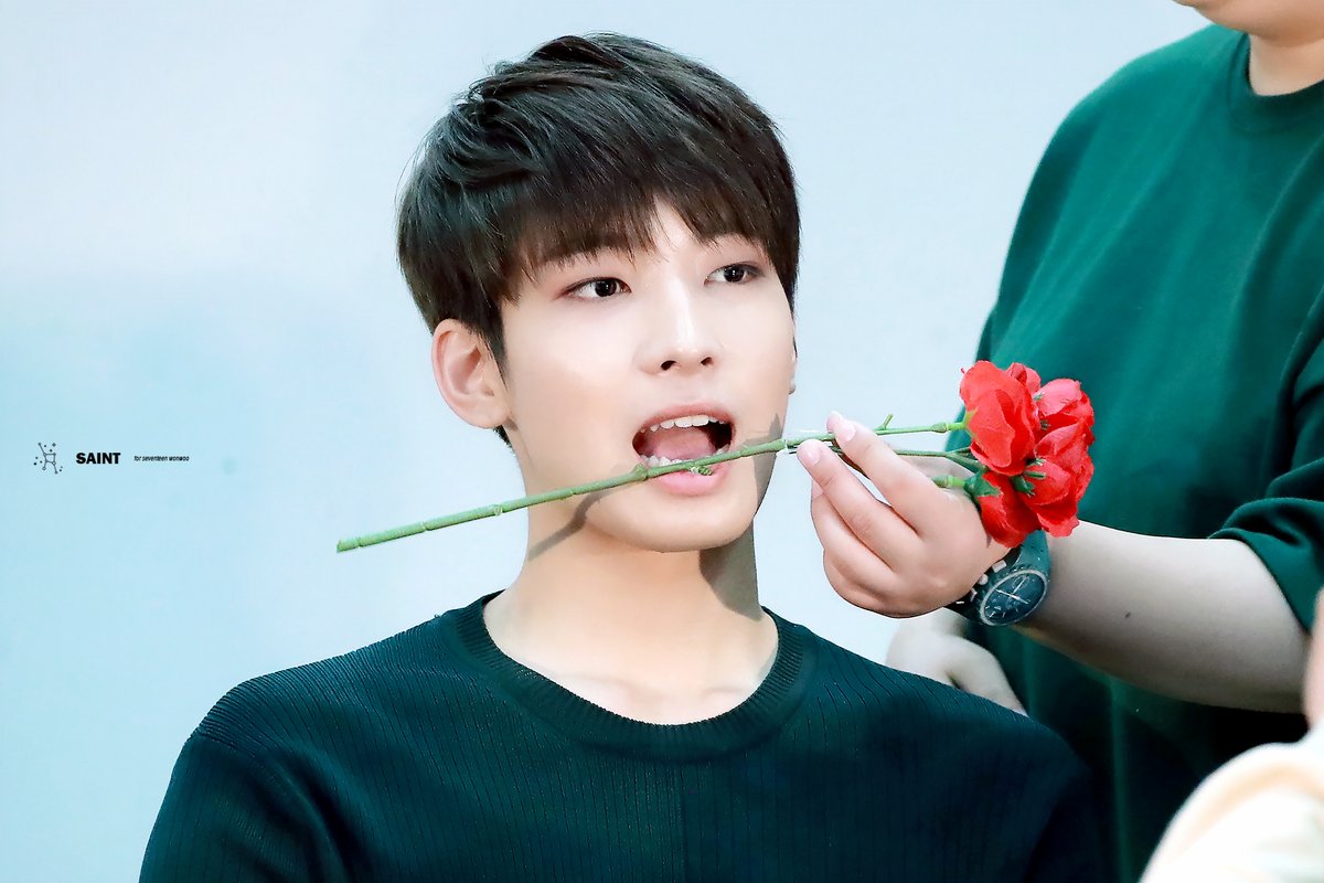 April Hope's Instagram, Twitter & Facebook on IDCrawl