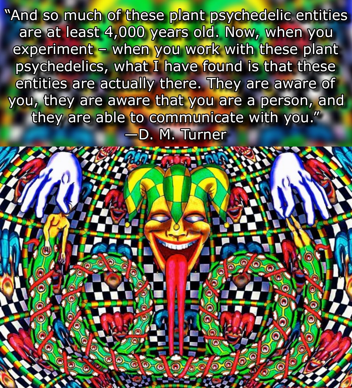 Dmt Trip Quotes Terence McKenna Quote: [DMT] Raises All The Questions