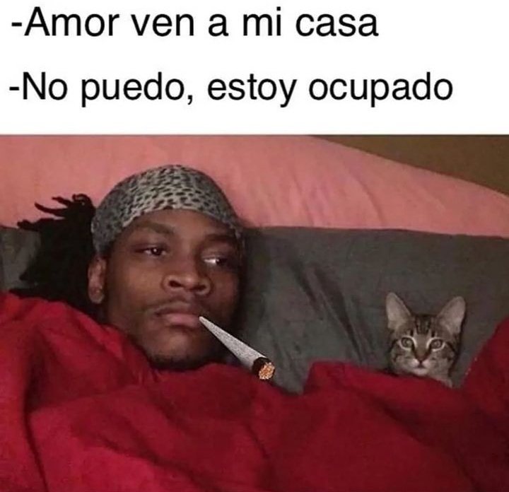 Fuedo Fumar Memes Memes De Cannabis, Lo Mejor De Lo Mejor Alchimia