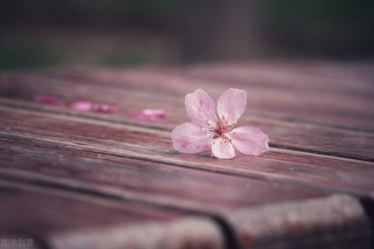 艾森 Essen's Threads – Thread Reader App