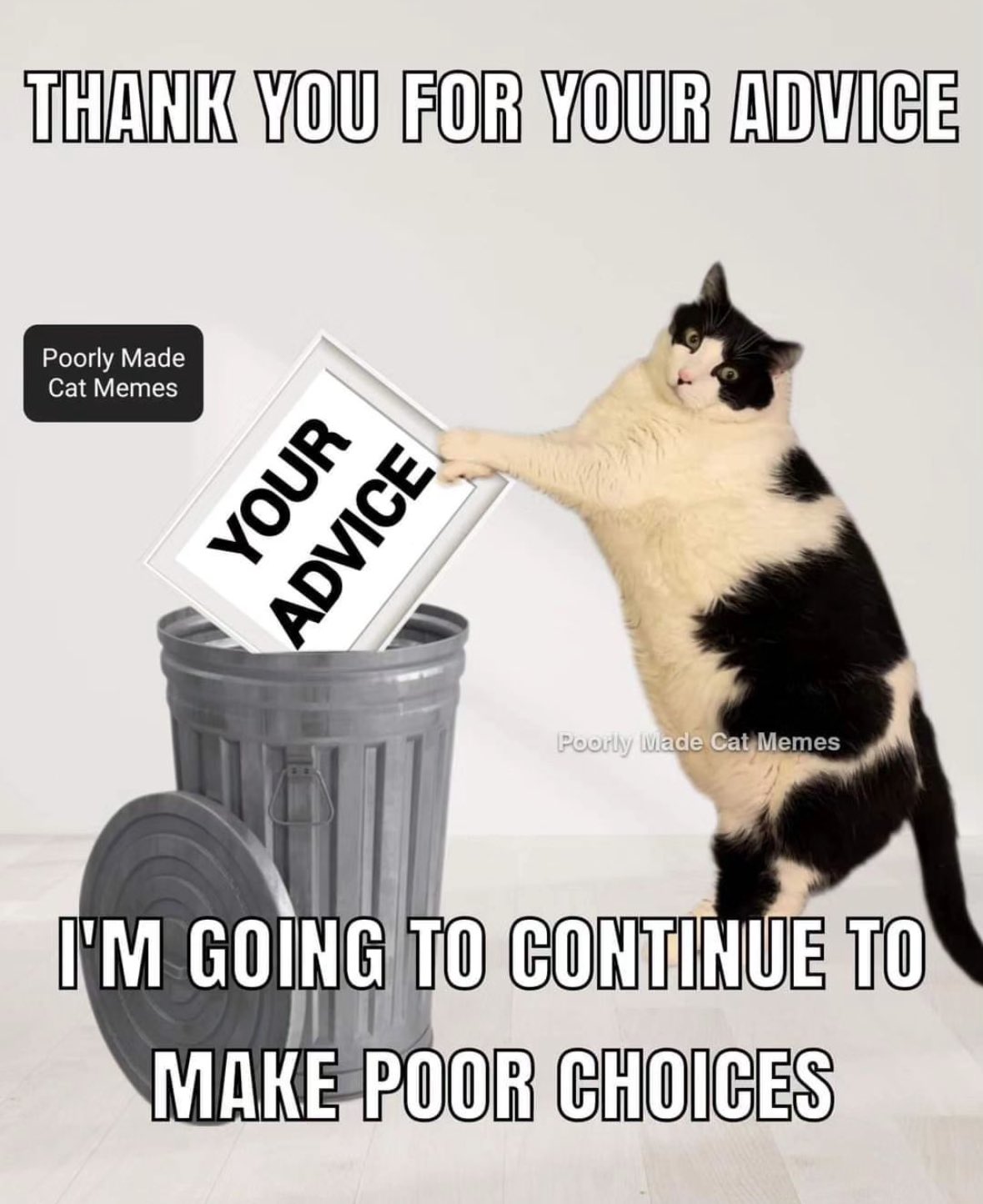 Good Job Cat Memes