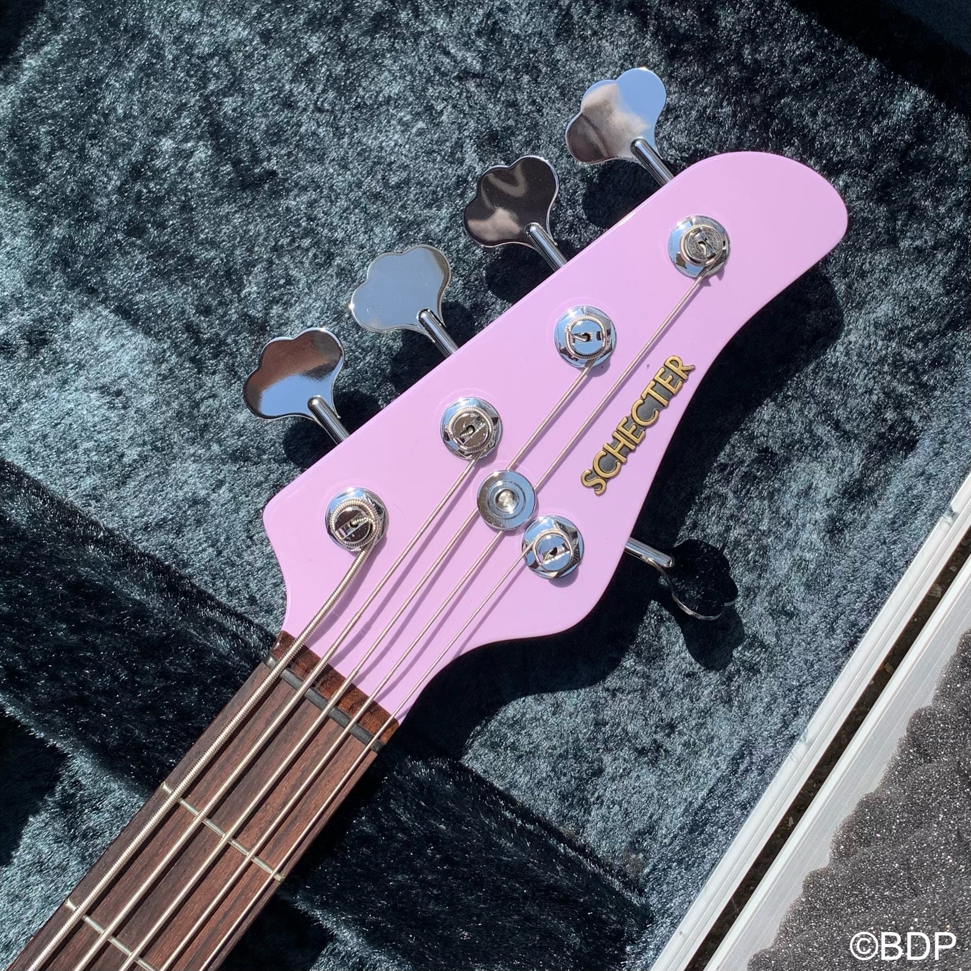 SCHECTER GUITAR JPN on X: SCHECTER GUITAR JPN on X:
