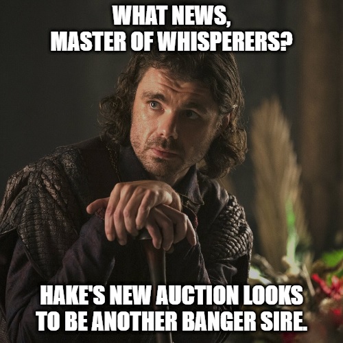 Auction Memes