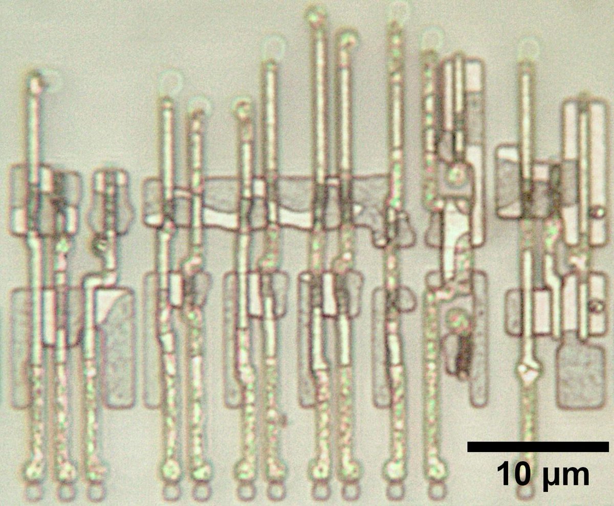 Intel's Pentium processor (1993) was a big jump in processor ...