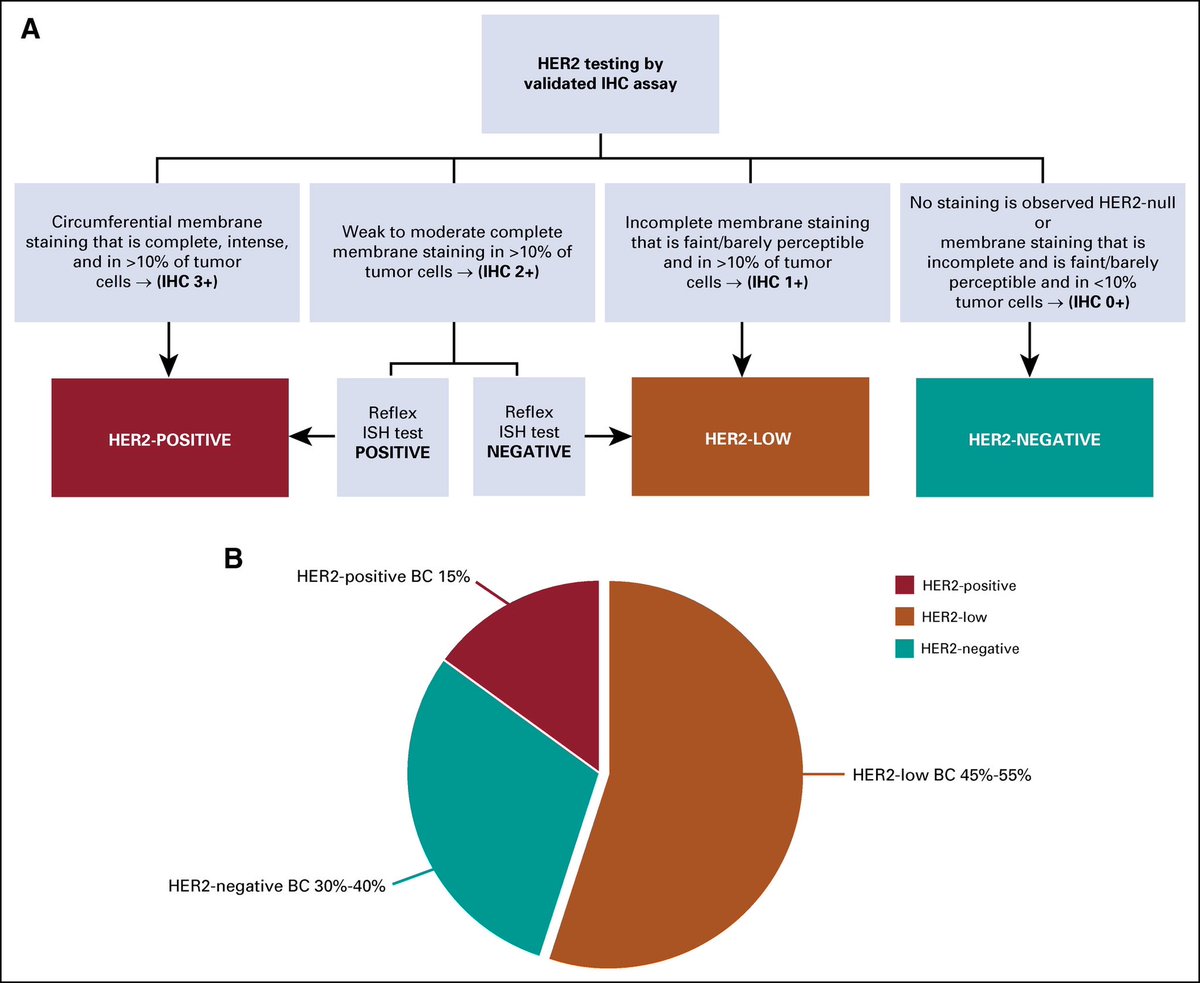 Thread by @PTarantinoMD on Thread Reader App – Thread Reader App