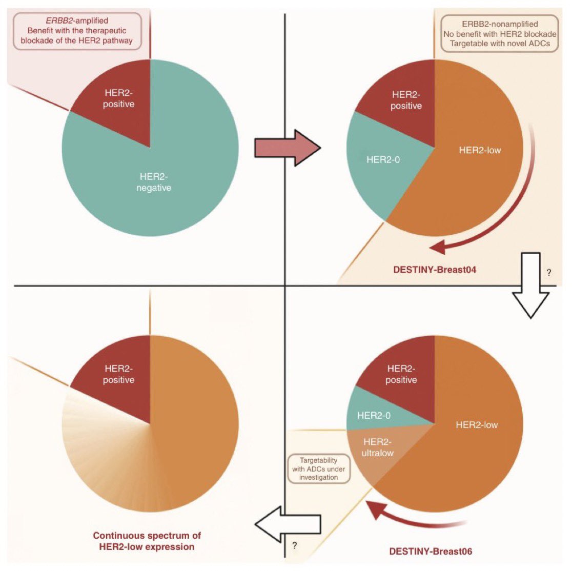 Thread by @PTarantinoMD on Thread Reader App – Thread Reader App