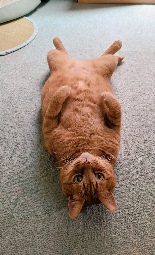 七瀬スカーレット＠C104二日目東ヌ34b(@Nanase_Scarlet) - Twilog (ツイログ)