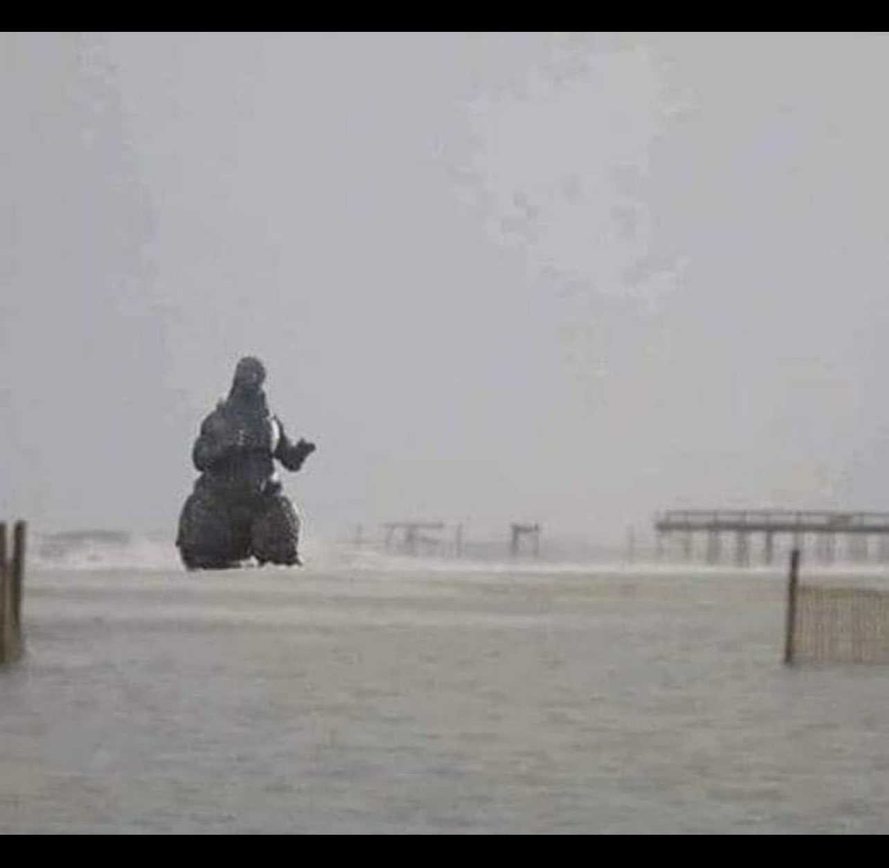 Real Godzilla Sightings