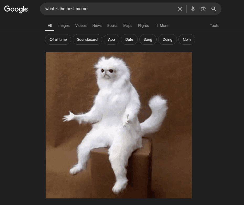 Monkey Wtf Memes