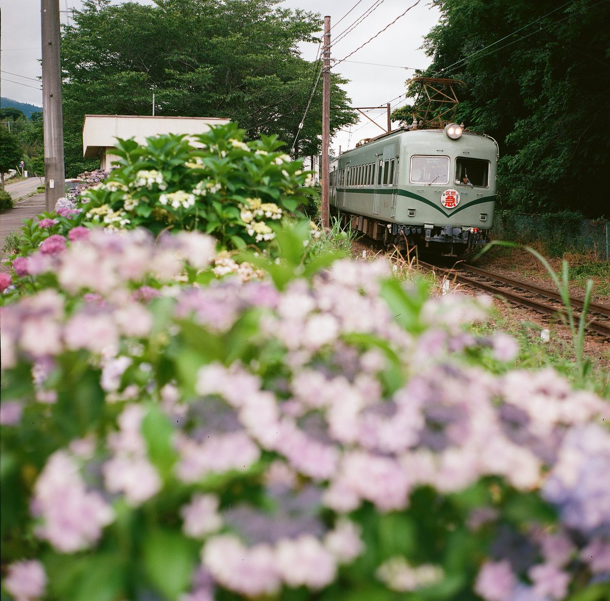 七瀬スカーレット＠C104二日目東ヌ34b(@Nanase_Scarlet) - Twilog (ツイログ)