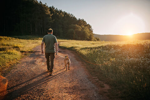 Brett Boettcher's Threads – Thread Reader App