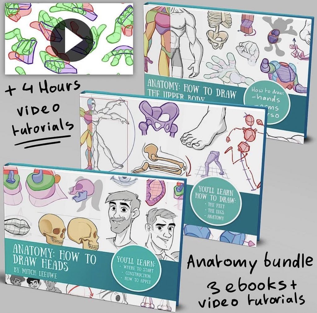 「Check out my how to draw anatomy ebook and video bundle for 」Mitch Leeuweの漫画