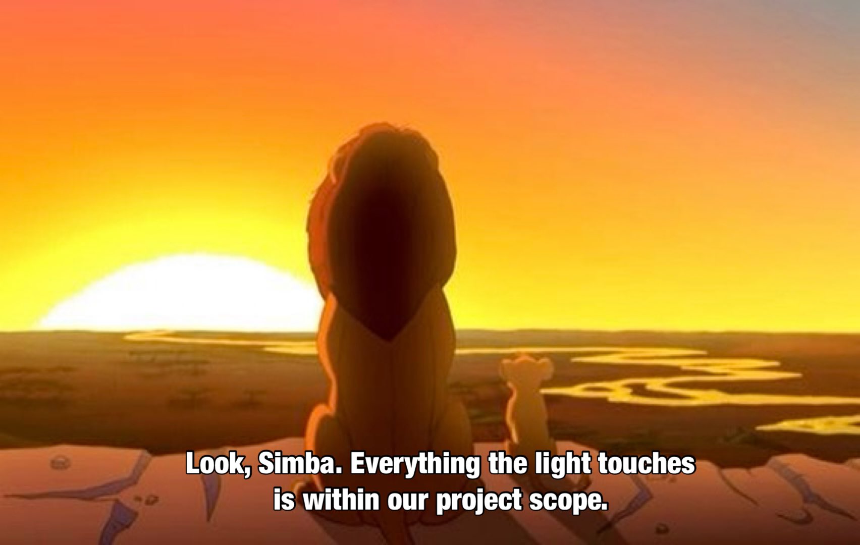 Lion King Simba And Mufasa Everything The Light Touches The Lion King