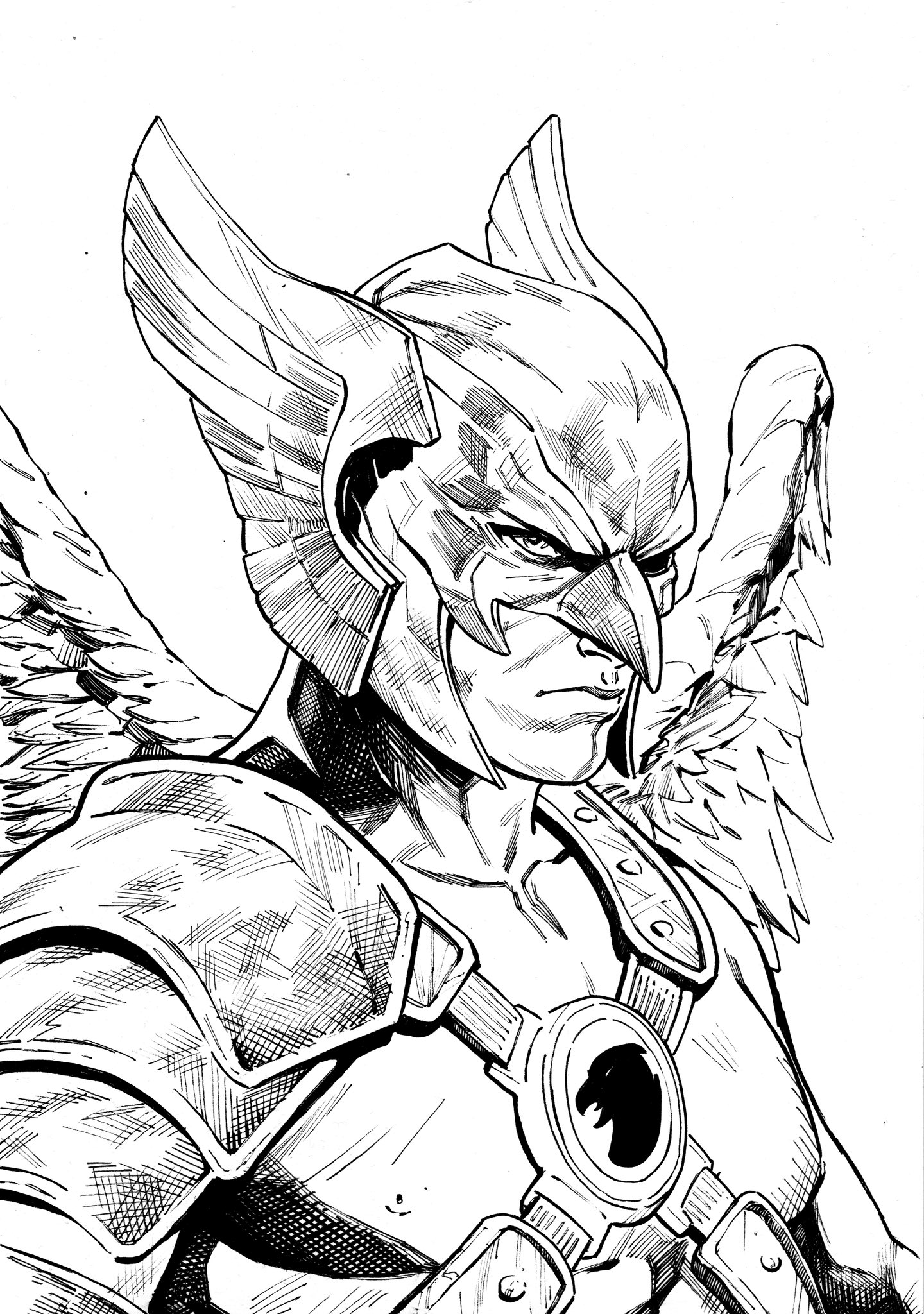 Hawkman Pencil Drawings