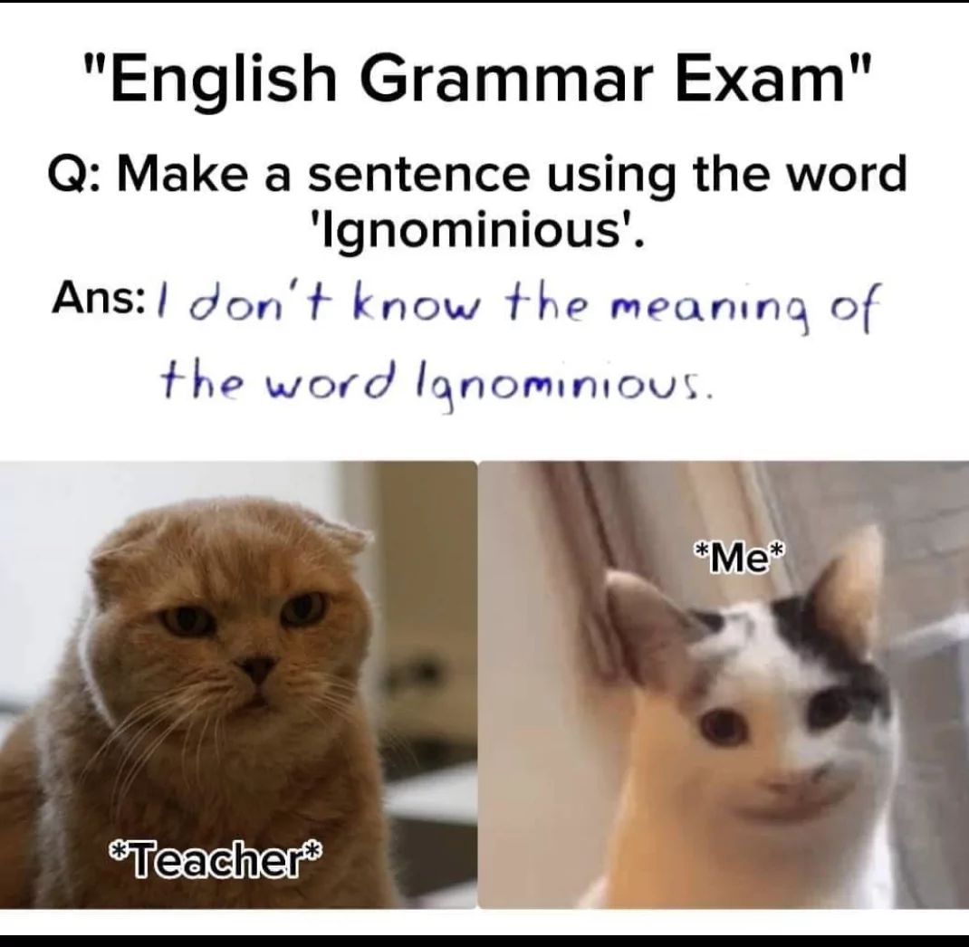 Funny English Memes