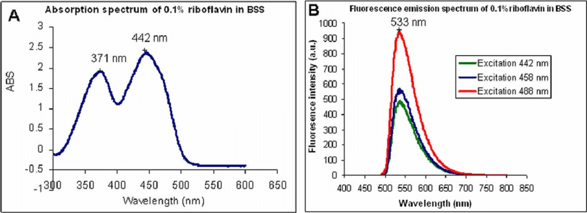 Methylation cycles aren't just tied to vitamins B6, B9, and B12. It's ...