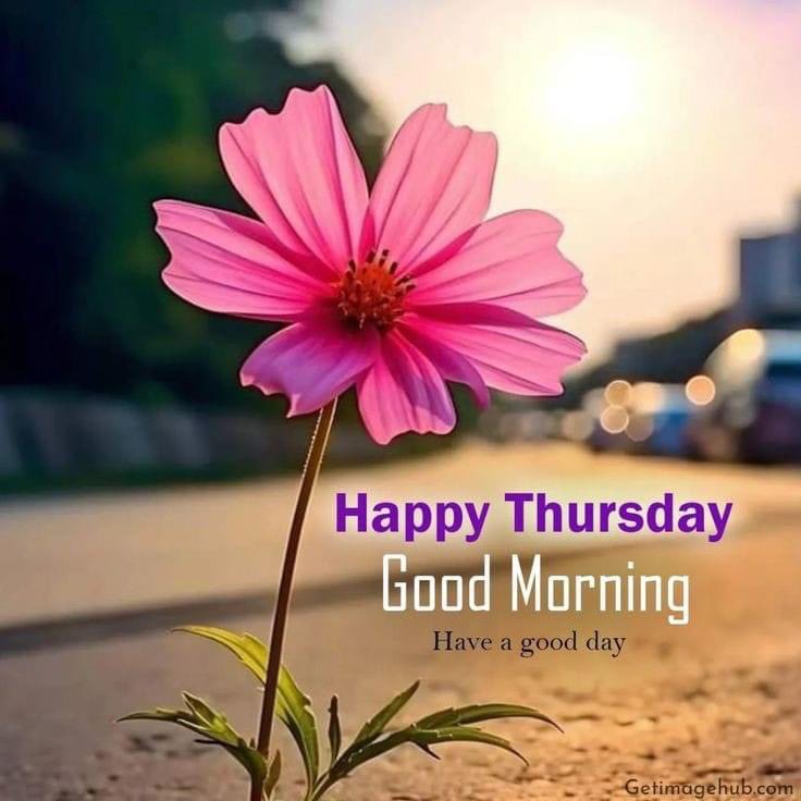 Good Morning Happy Thursday Good Morning! Happy Thursday!