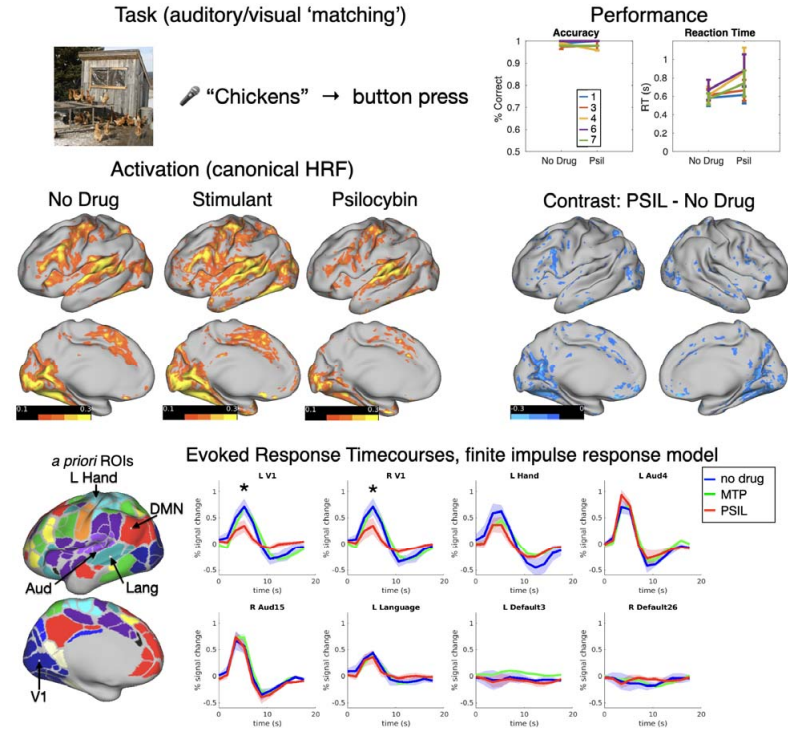 This is your brain on psilocybin. 🧵1/10 - Thread from Nicholas Fabiano ...