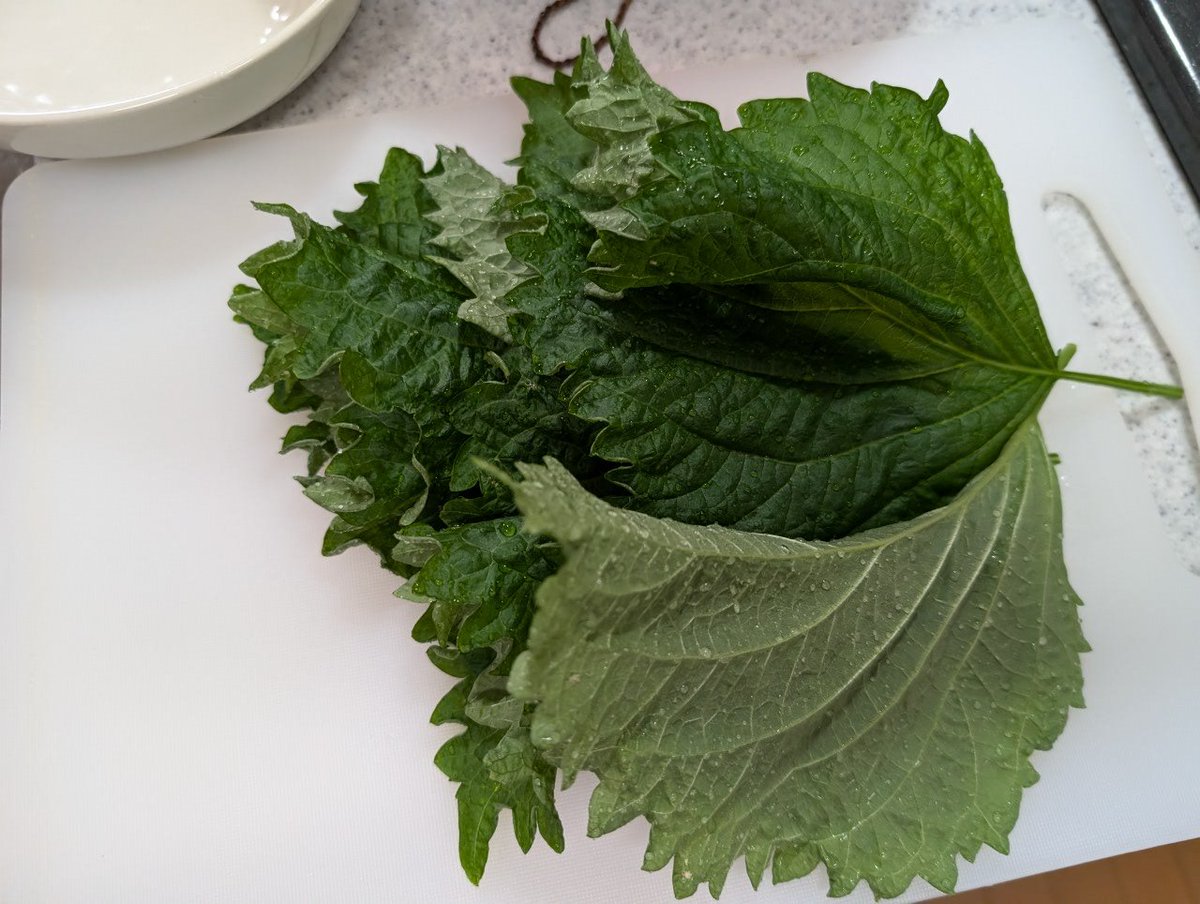 いるみん(@illumi_key) - Twilog (ツイログ)