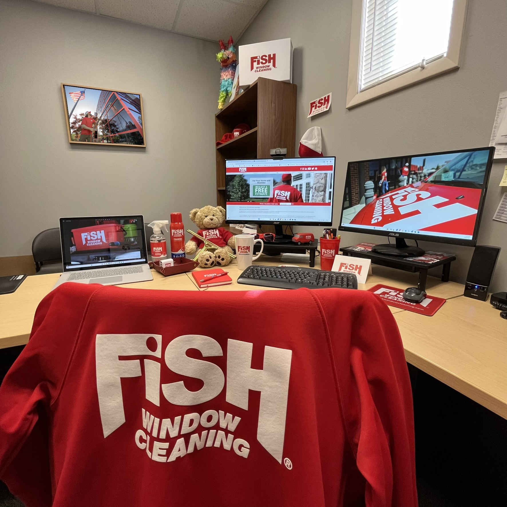 Fish Window Cleaning Logo