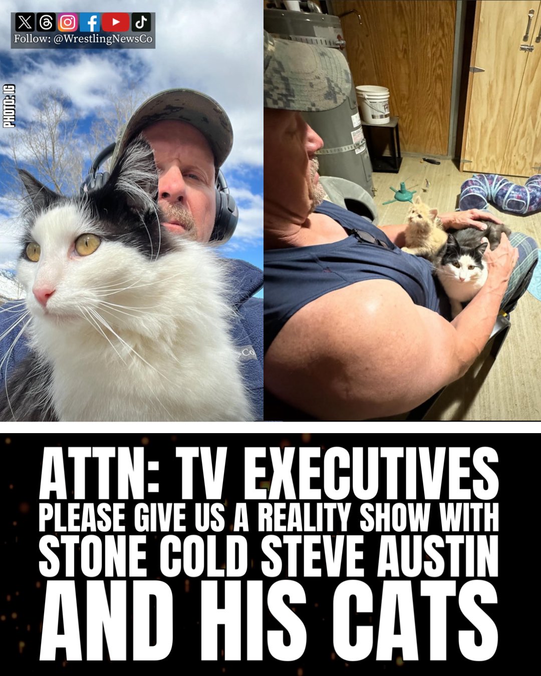 Ang Macho Memes Kaja Sonik Zon | I've Put Together A Compilation Of