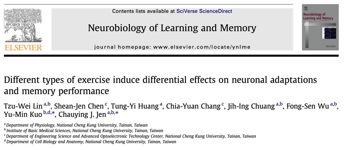 Exercise promotes beneficial changes in the brain, potentially ...