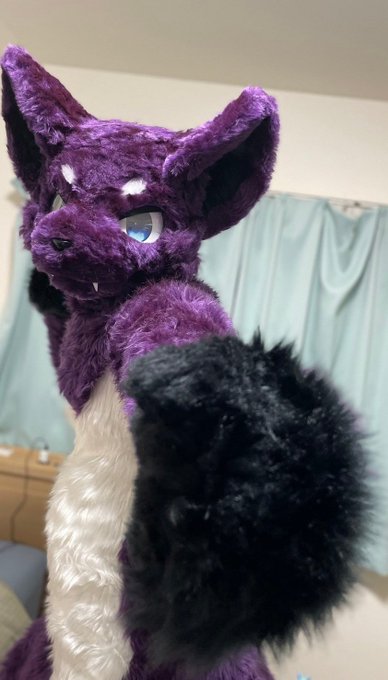 Luca&Karuma Next→kemocon @furry_karuma profile | Musk Viewer