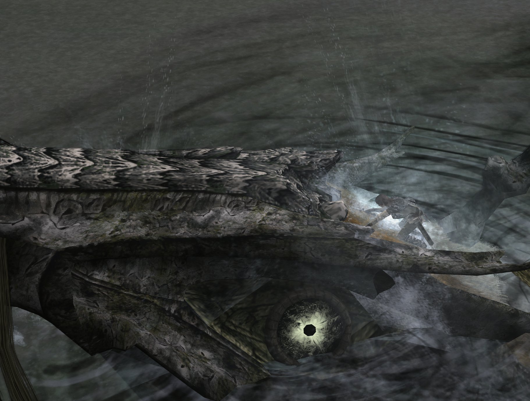 Shadow Of The Colossus Hydrus Shadow Of The Colossus Hydrus By Timid