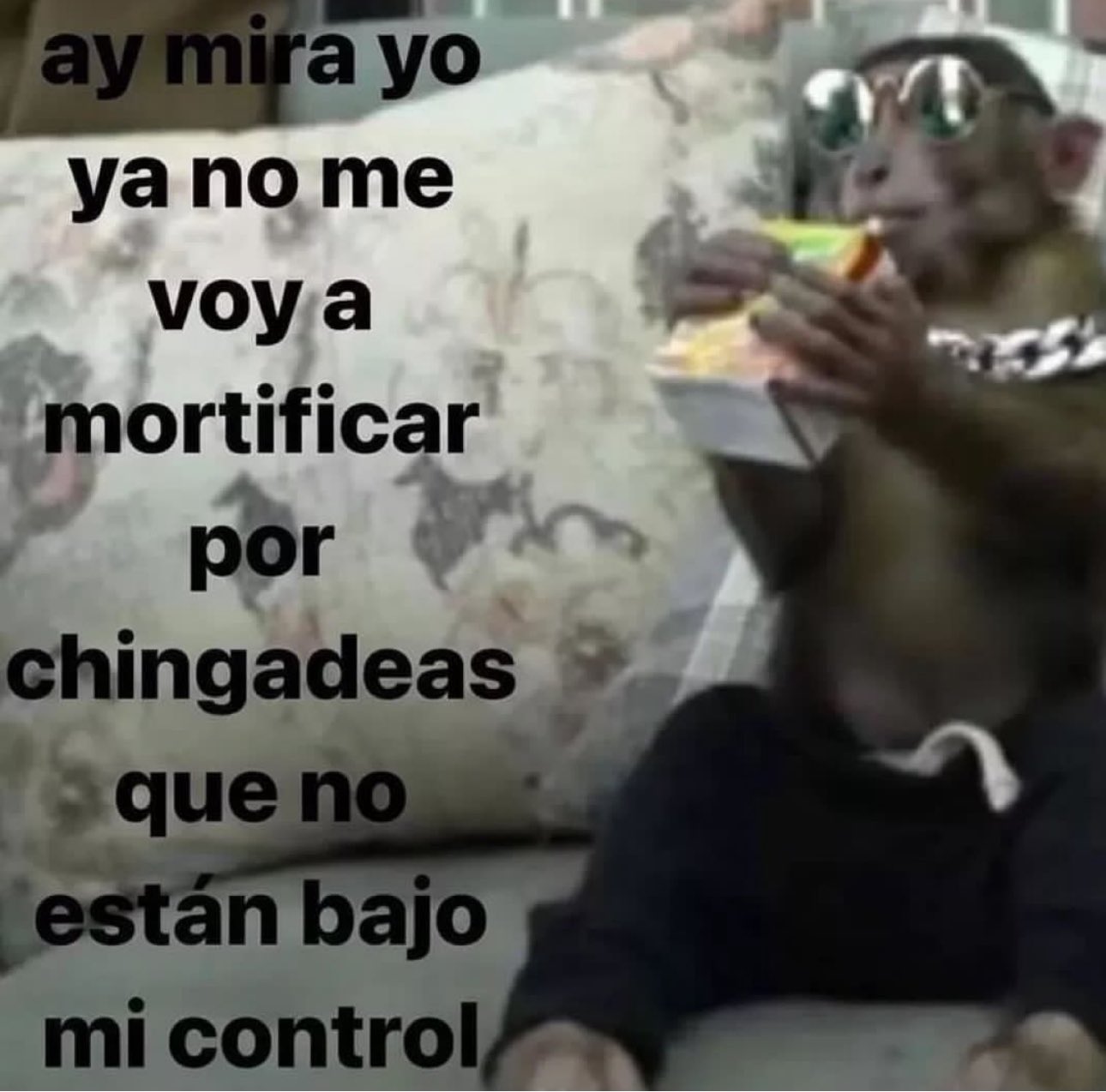 Imagenes Margarito Memes Memes Del Tercer Debate Presidencial Entre