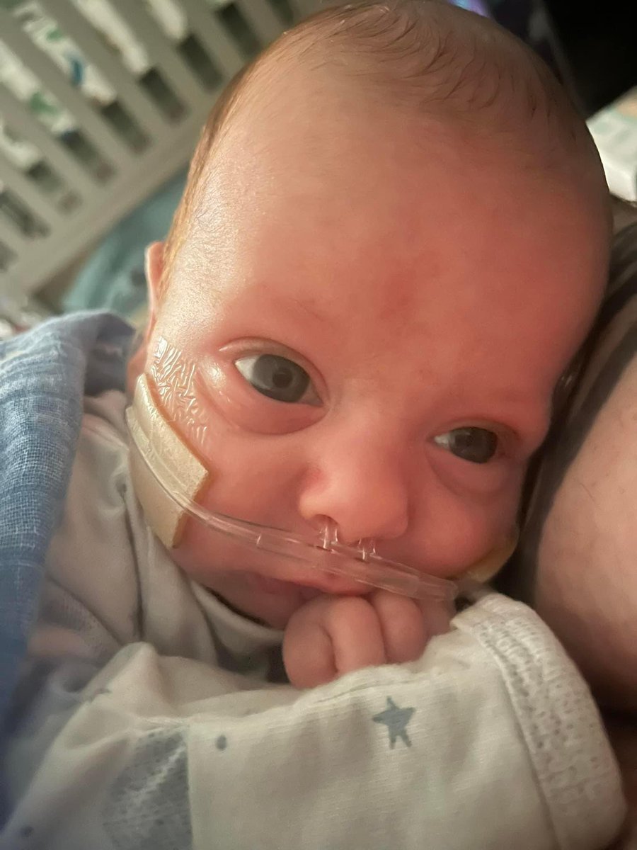 Kelly Paulus's Instagram, Twitter & Facebook on IDCrawl