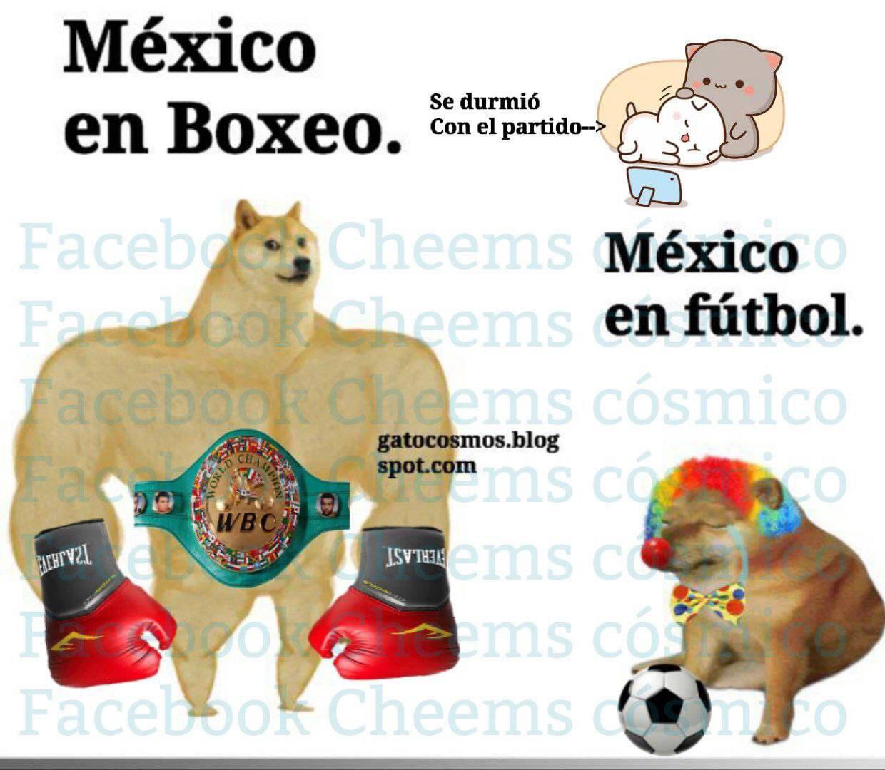 Memes Boxeo Mexicano Memes Universidad Nacional On X: "🐶