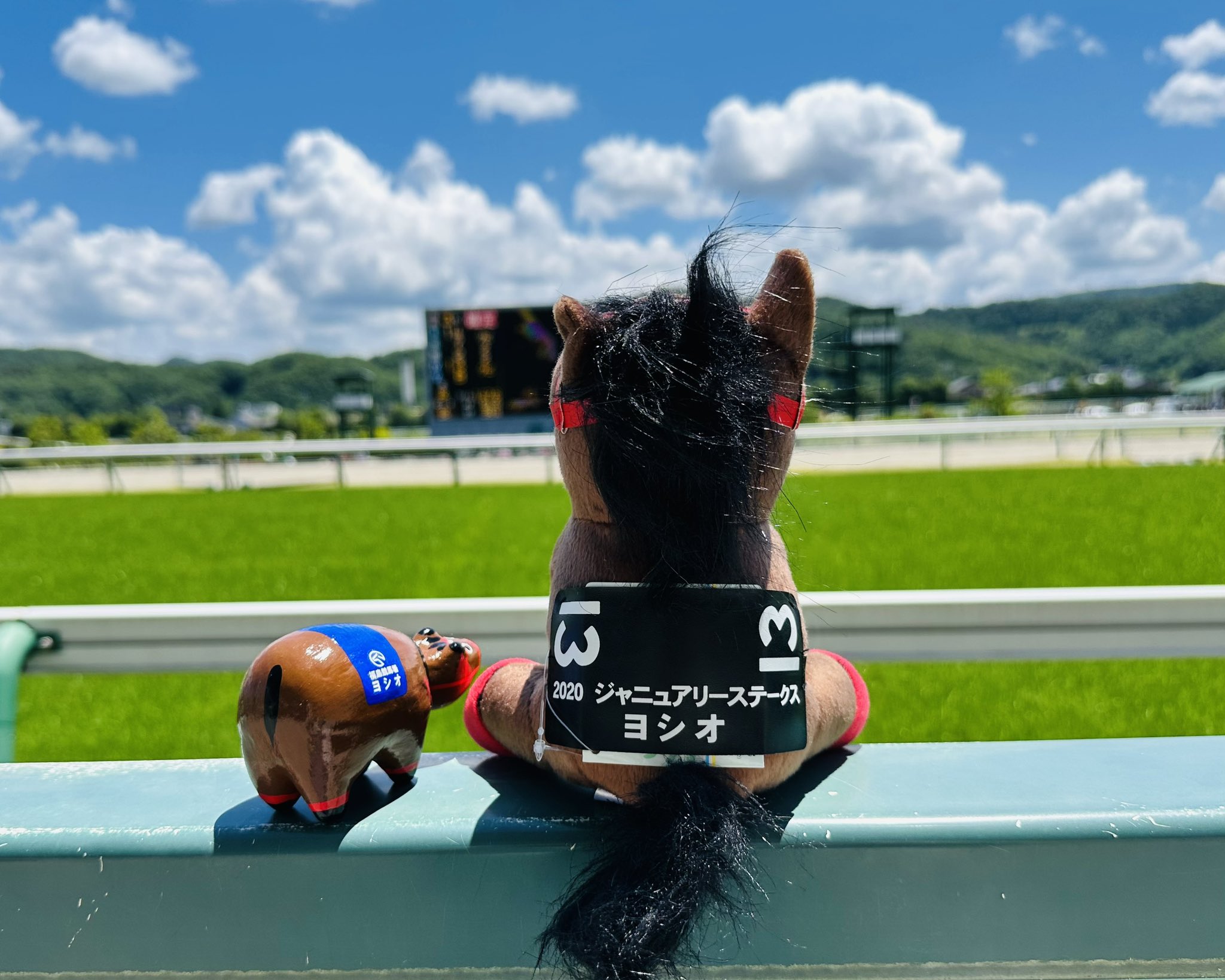 JRA 日本中央競馬会 見にくく 福島競馬場限定 ウェルカム JRA 日本中央競馬会 見にくく 福島競馬場限定 ウェルカム