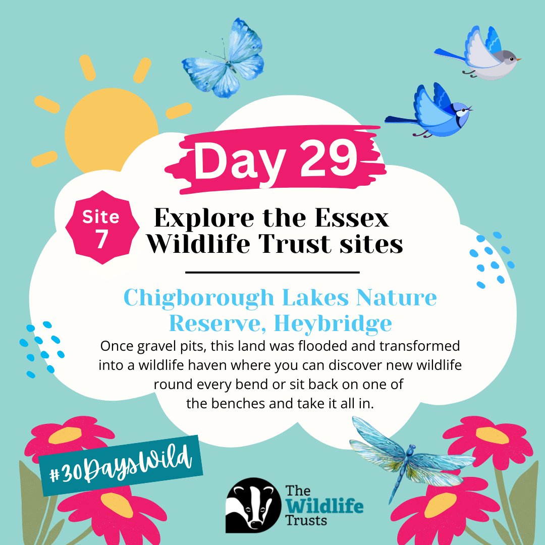 Welcome to The Sandon School