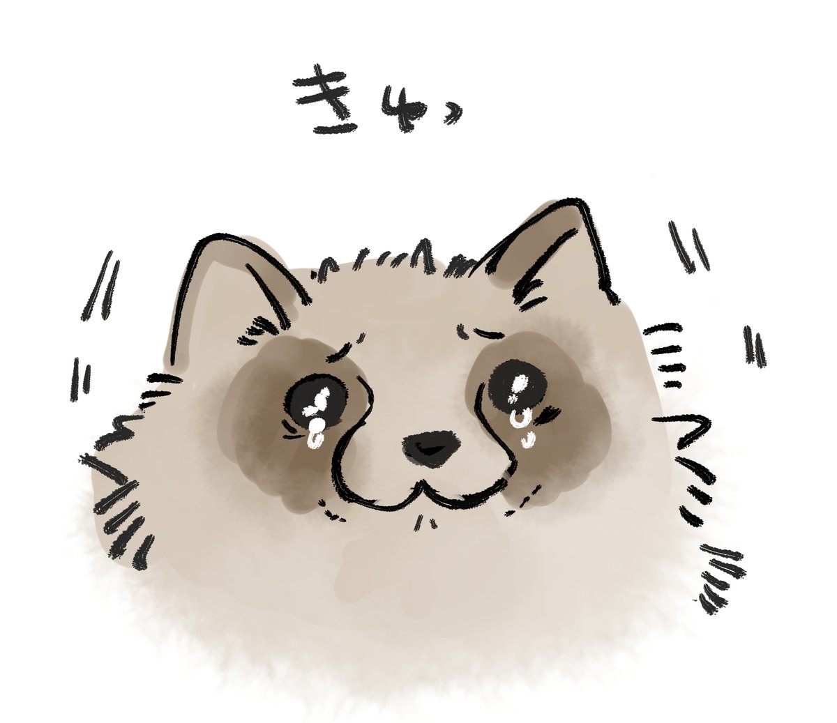 「空腹限界発表ドラゴン 」ミト🐻C107水曜め25abの漫画