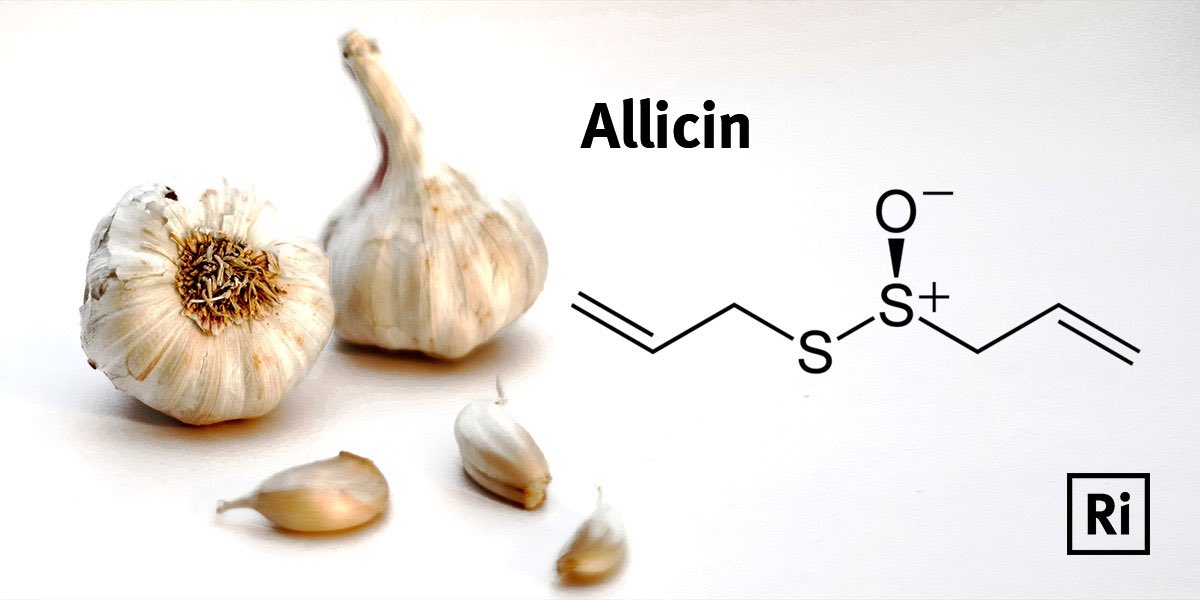 Superfood Saturday: 🧄 Garlic - The aromatic anti-microbial! 🧵//A Thread ...