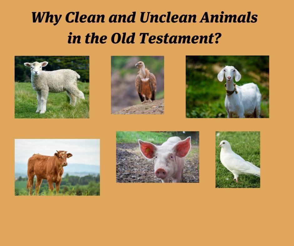 What Does Unclean Animals Mean In The Bible