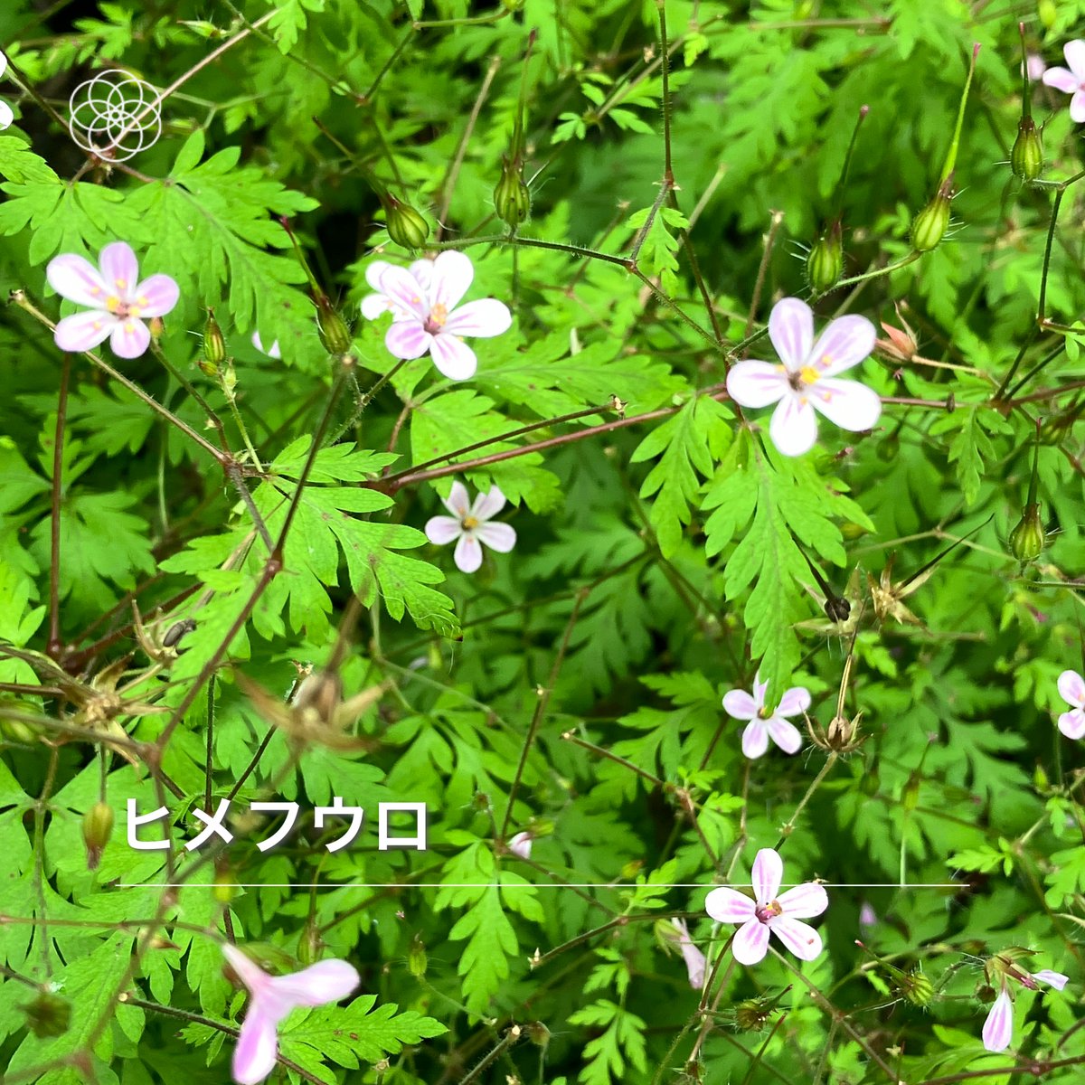 bouno(@bouno) - Twilog (ツイログ)