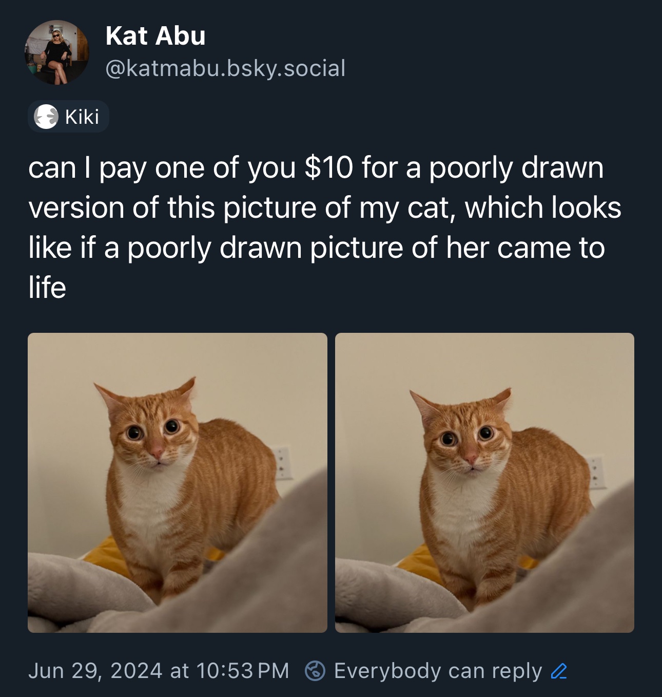 Grappige Katten Memes Tumblr