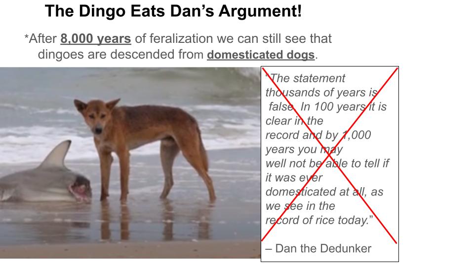 Rick Hall's Threads – Thread Reader App