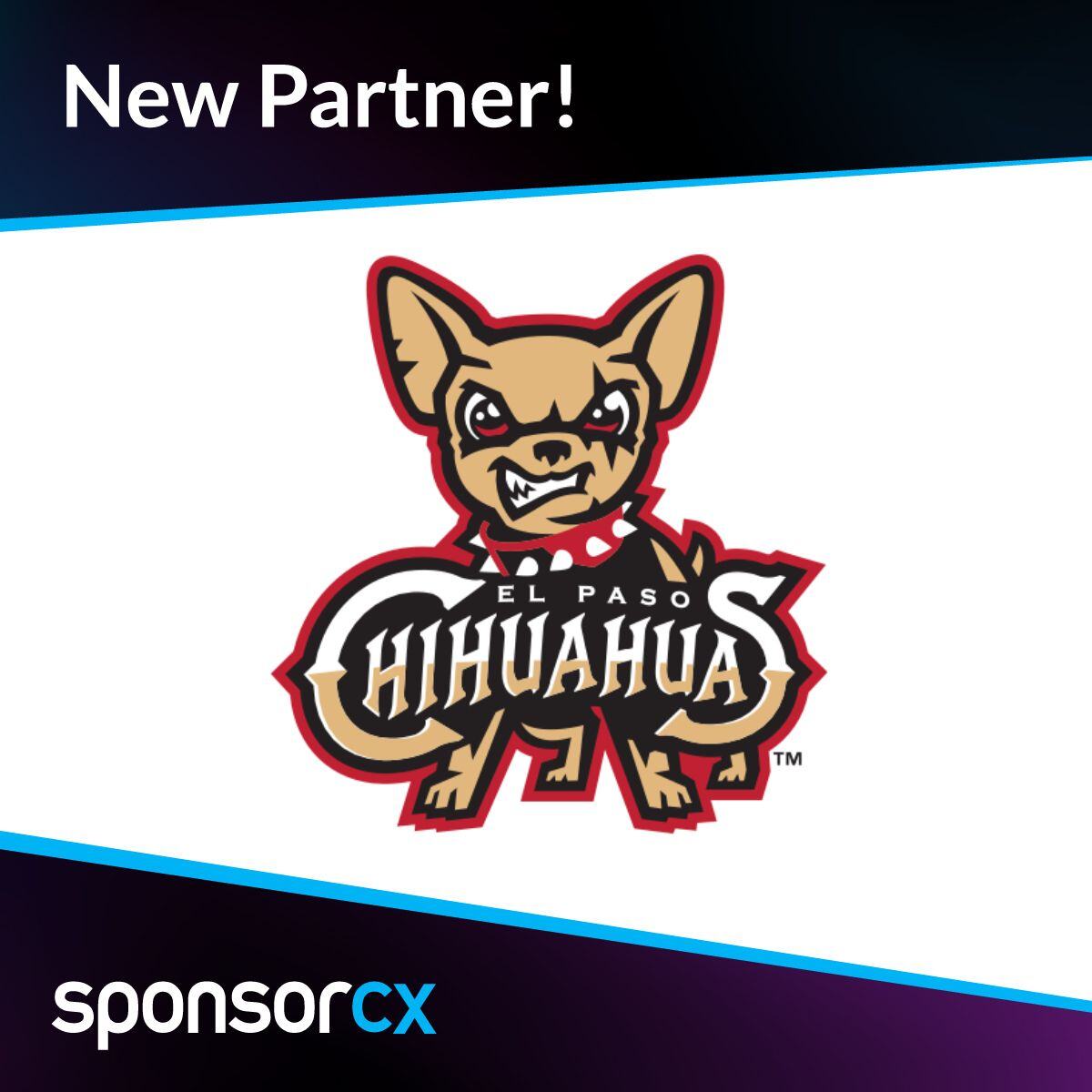Ep Chihuahuas Logo Meet Chico, The El Paso Chihuahuas New Mascot