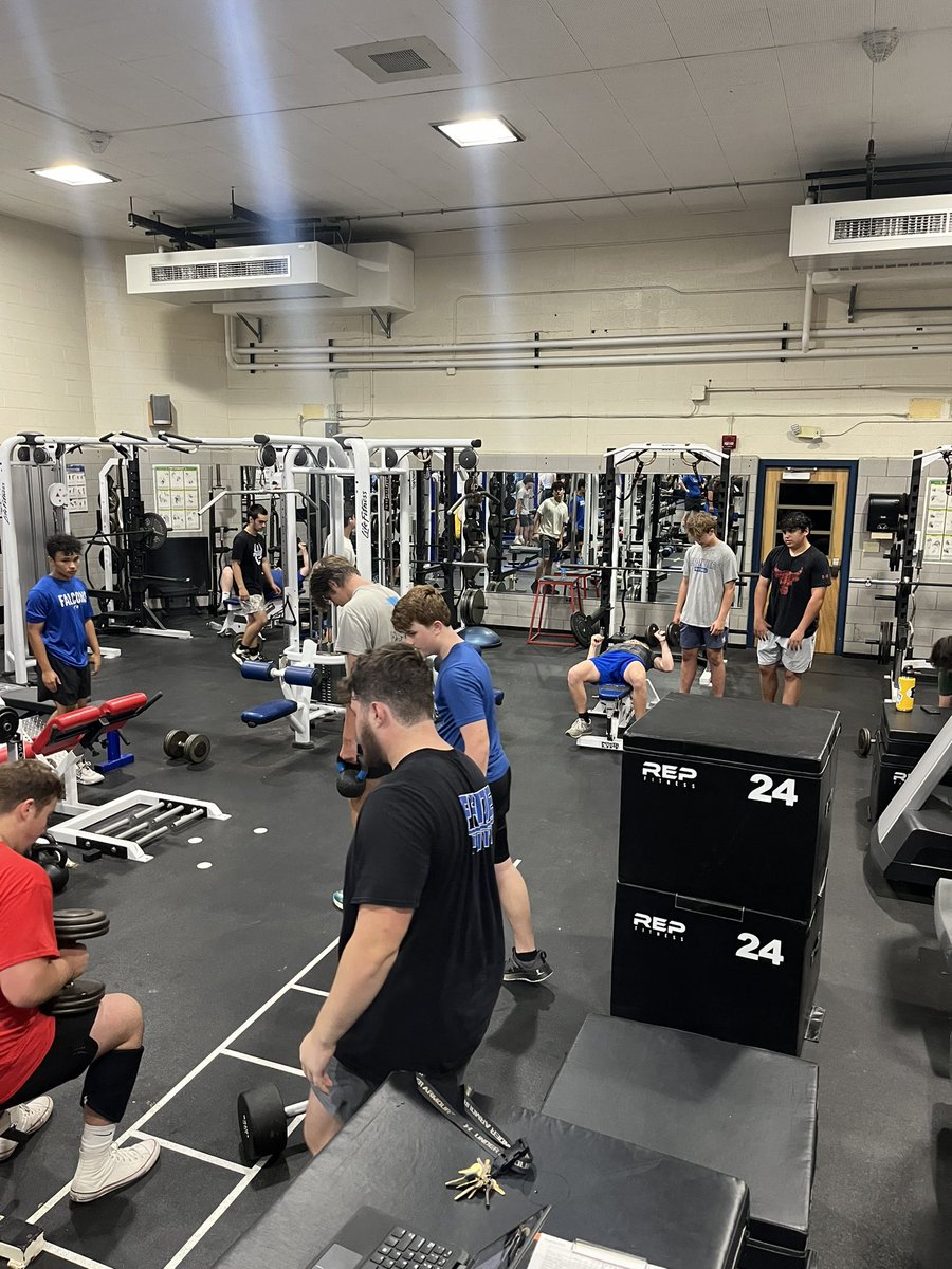 Foundational Movement Patterns (with Downloadable PDF Posters) | PLT4M