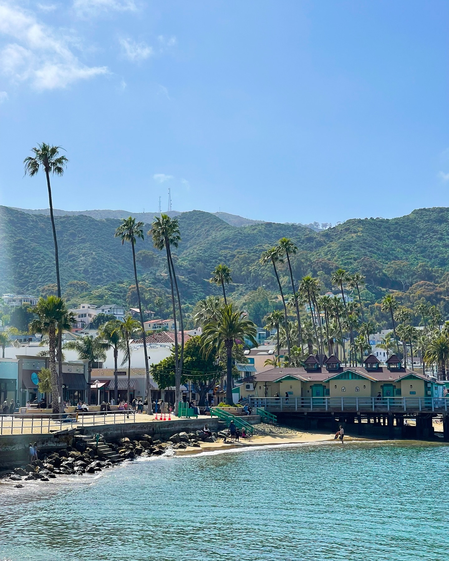 Catalina Island Packages Specials Over 50% Off Baja Mexico Cruises On