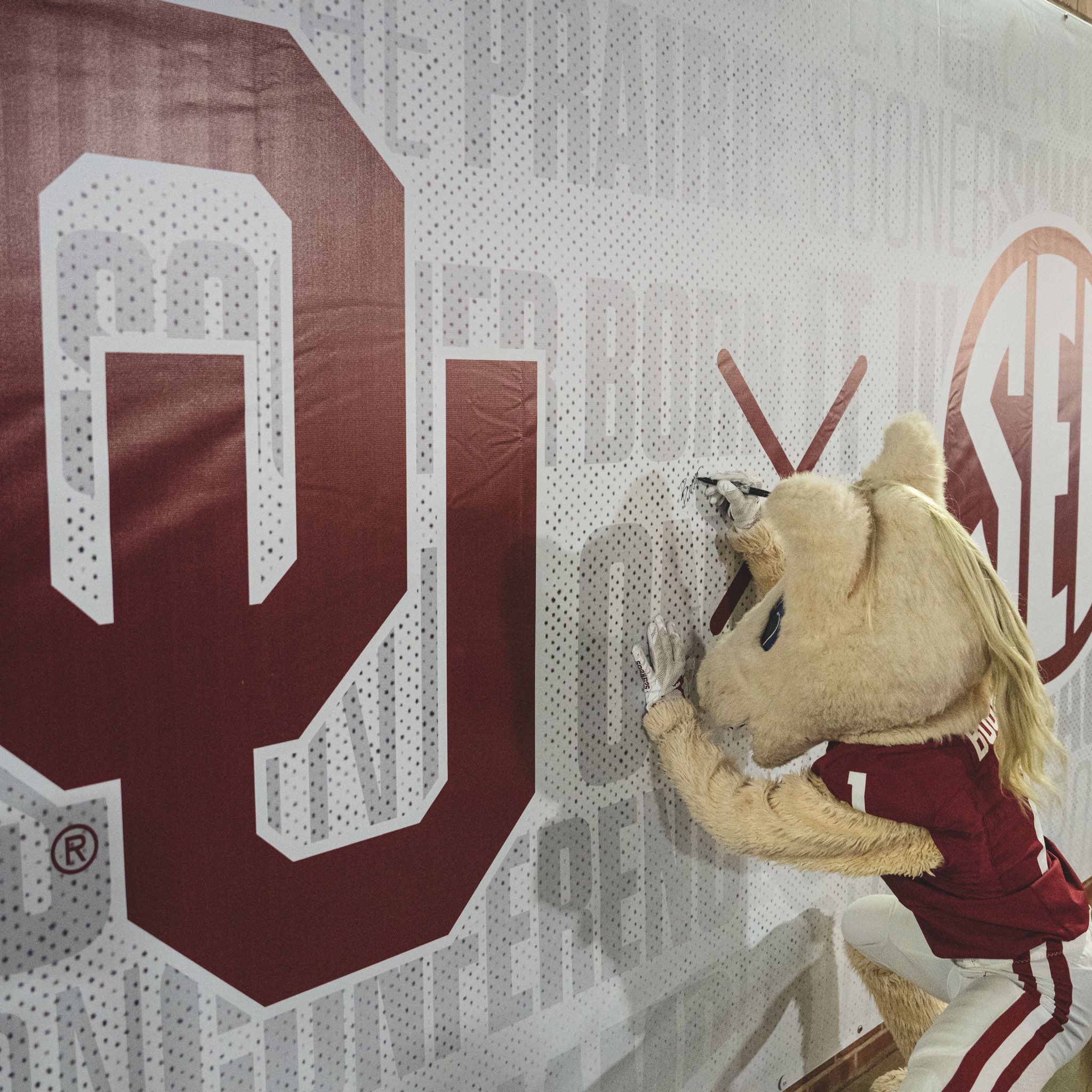 Oklahoma Sooners Mascot Logo