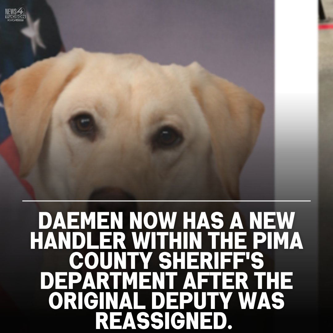 Deputy Dog Memes McGruff The Crime Dog Wikipedia