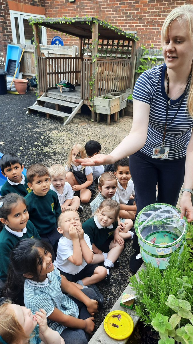 Our Curriculum - Cheam Park Farm Primary Academy